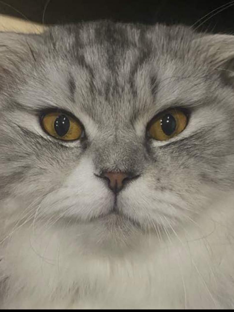 Taking passport photo | Scrolller