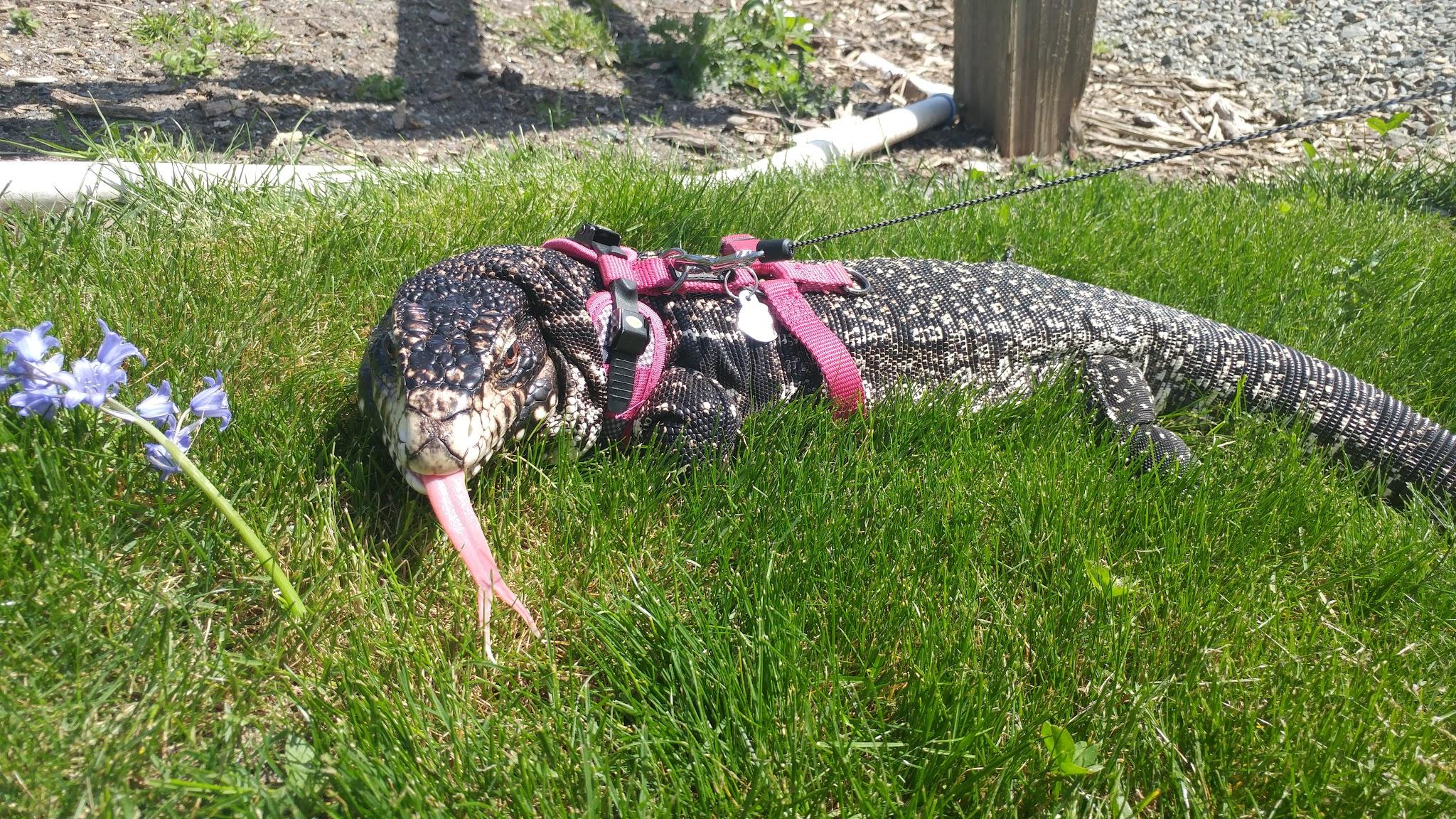 Talia getting some sun | Scrolller