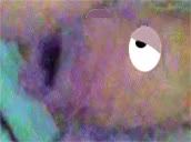 Talks Continue | Scrolller