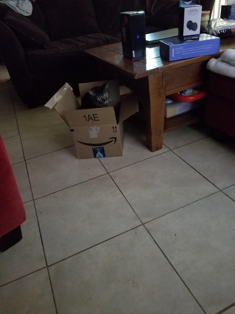 Target acquired. | Scrolller