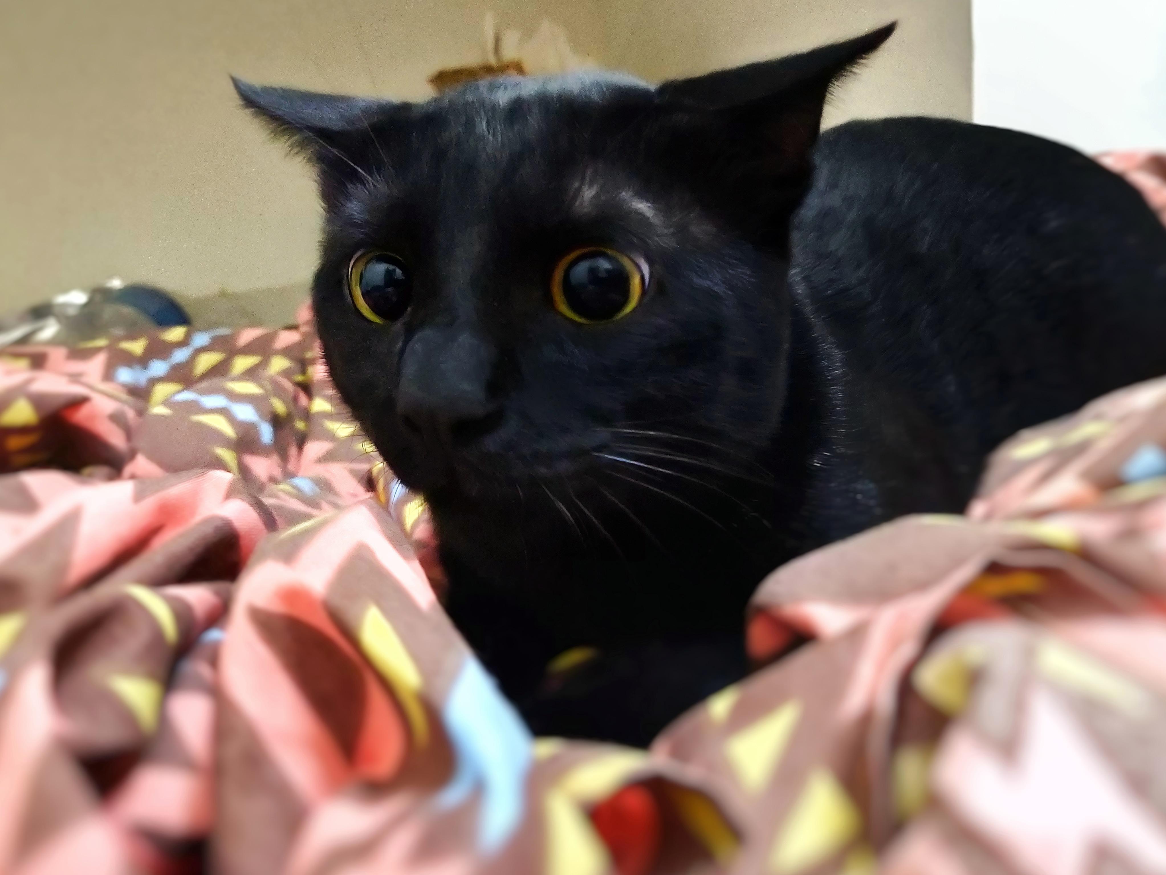 Target locked | Scrolller