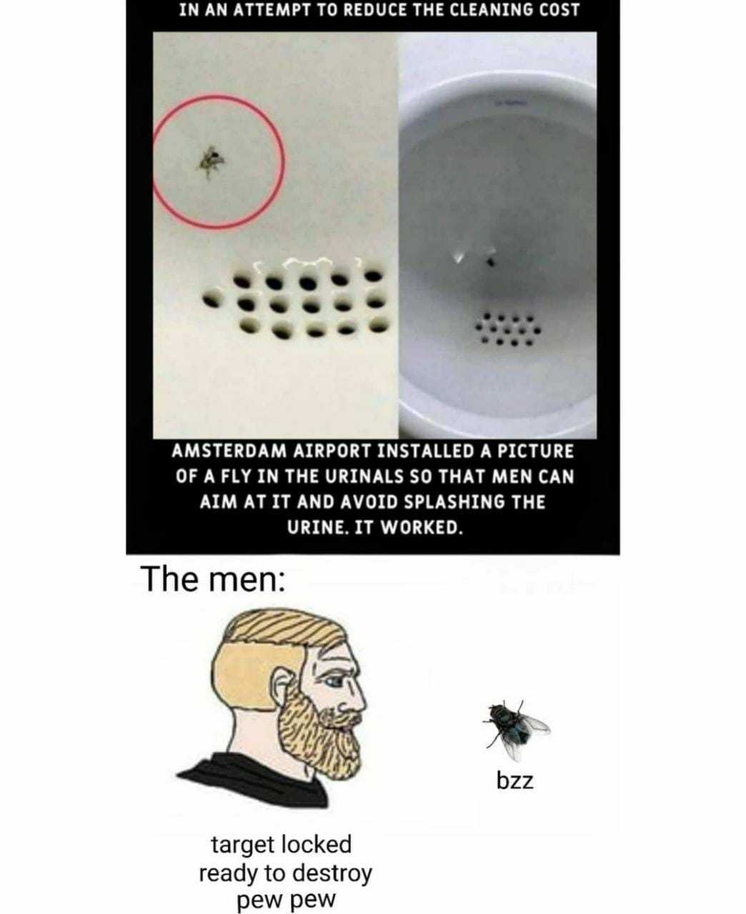 Target locked on | Scrolller