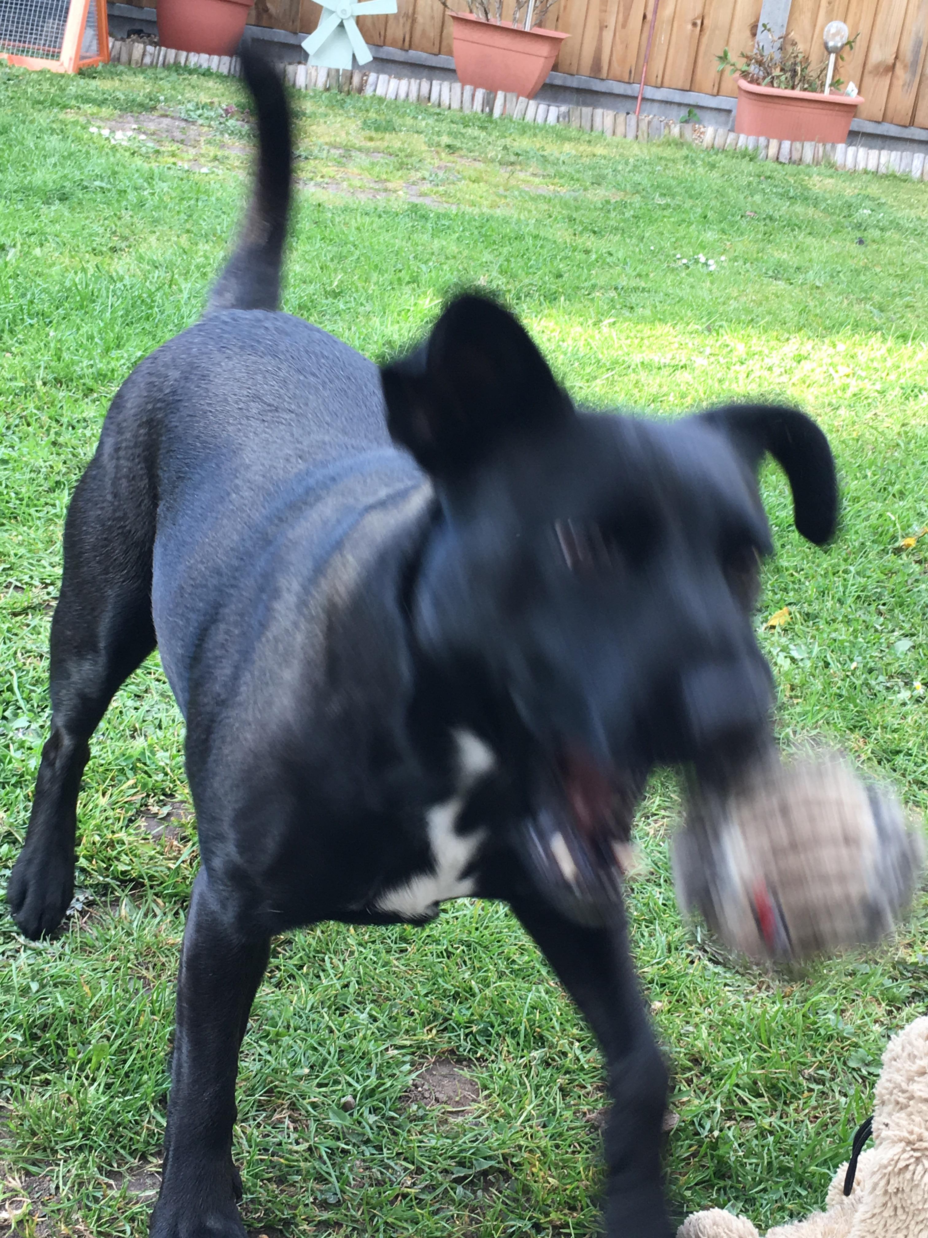 TARGET SIGHTED | Scrolller