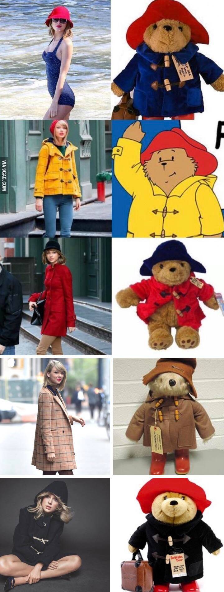 Taylor Swift is Paddington Bear | Scrolller