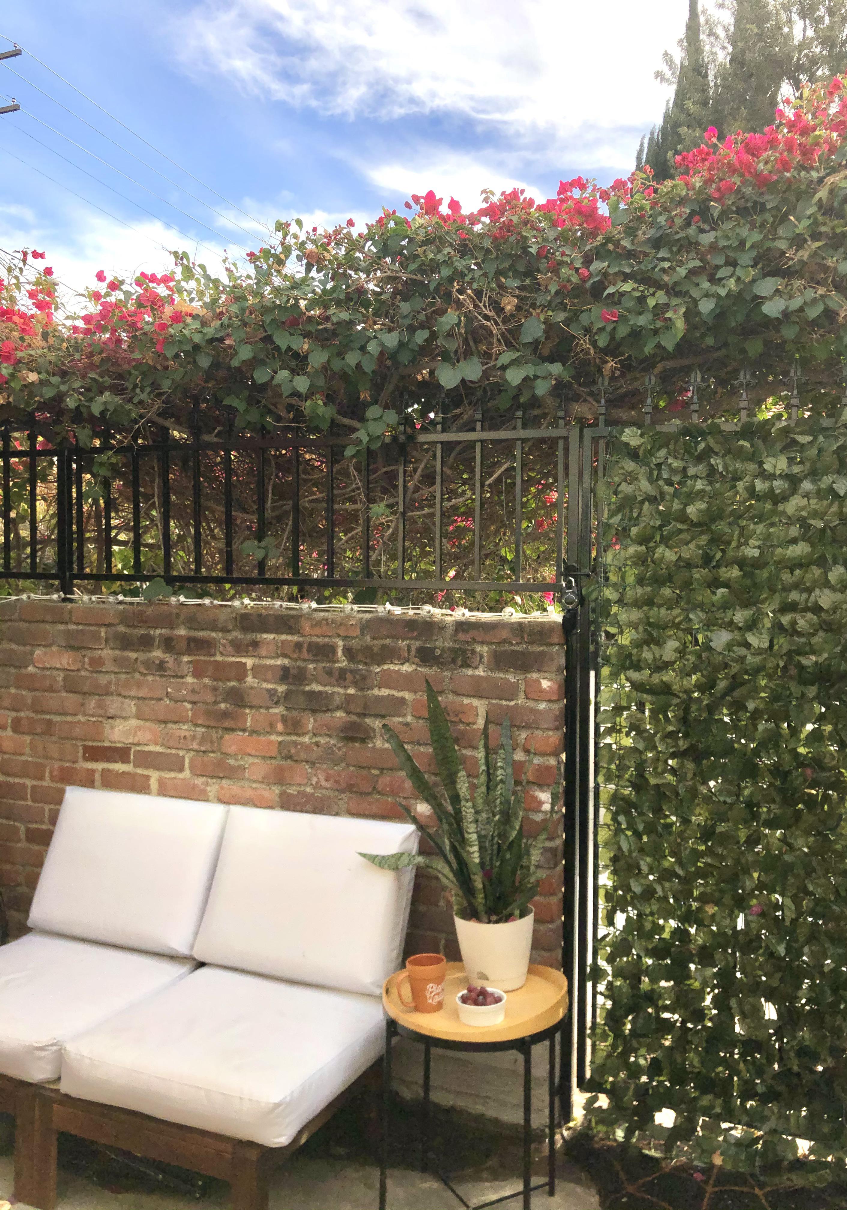 Tea on the patio 😊 | Scrolller