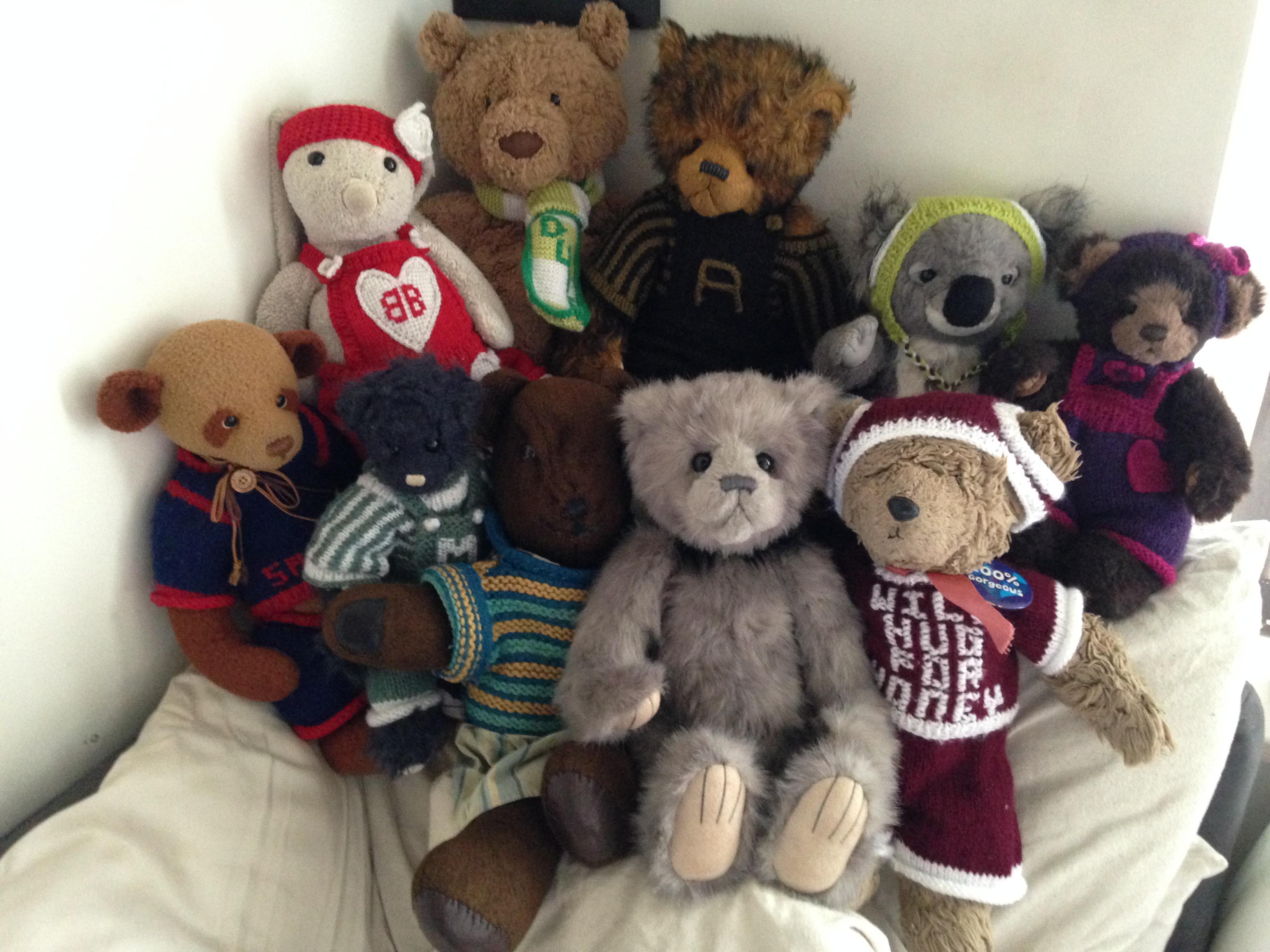 Team Bear! | Scrolller