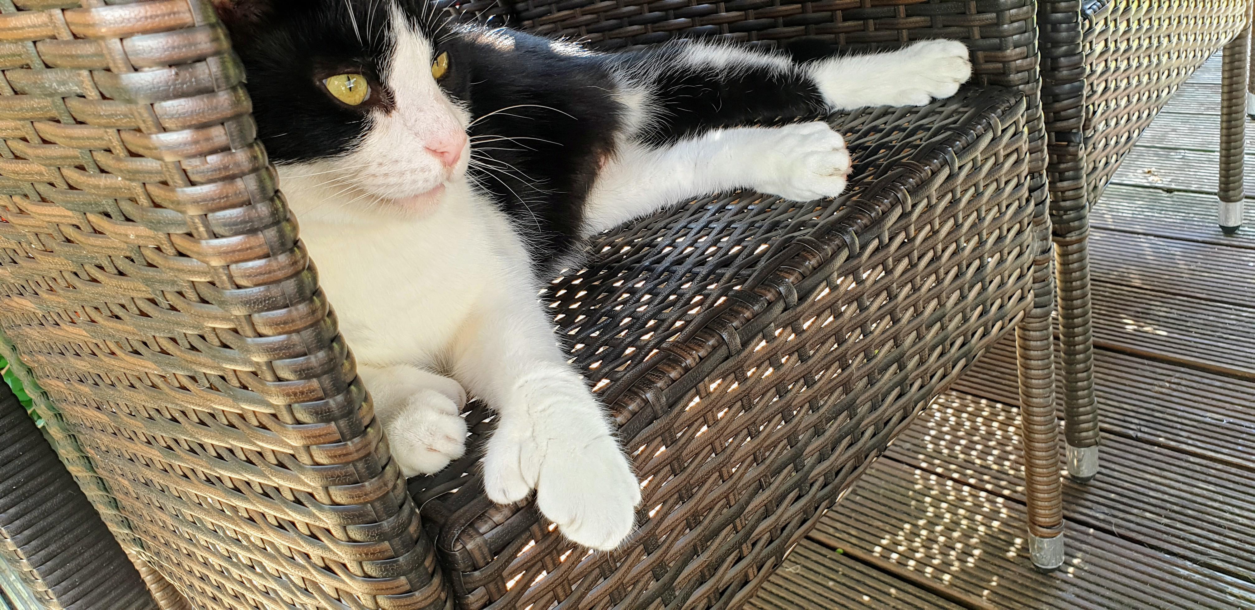 Ted...... chilling | Scrolller