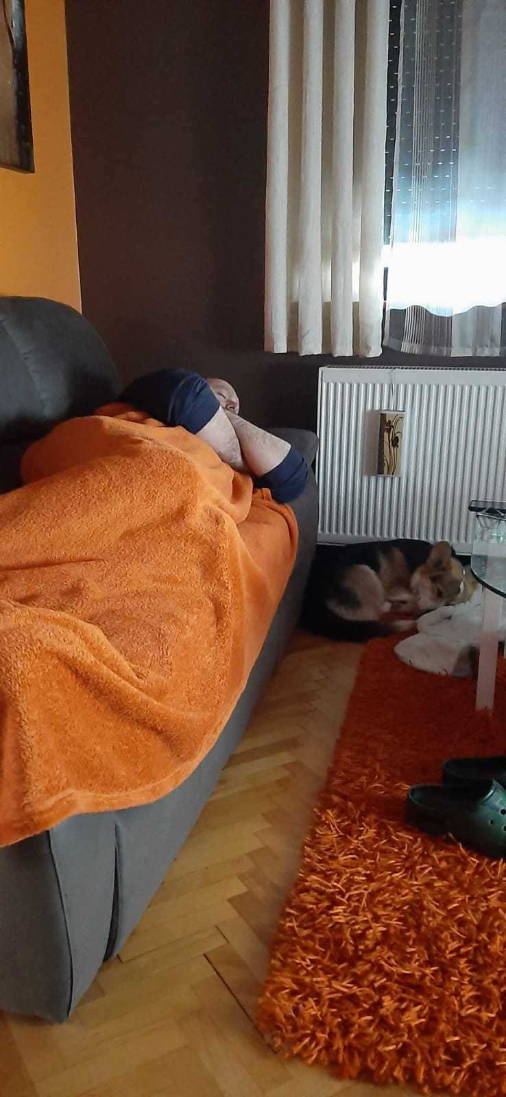 Teddy...just we boys😴 | Scrolller