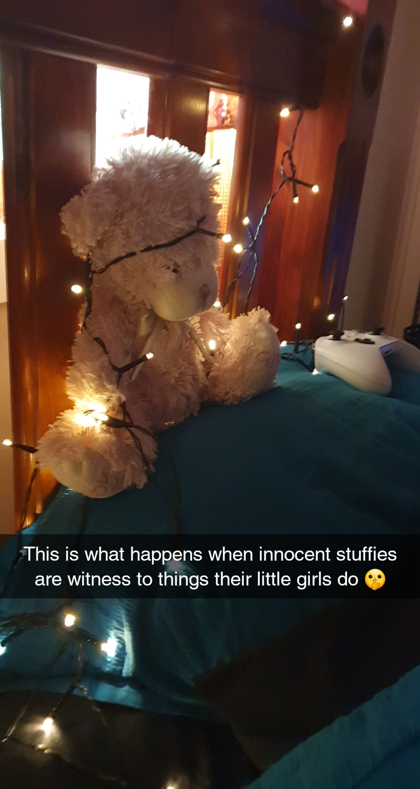 Teddy see Teddy do!? | Scrolller