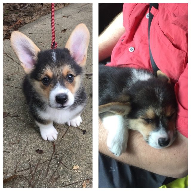 Ted's before and after of his first "hike" | Scrolller