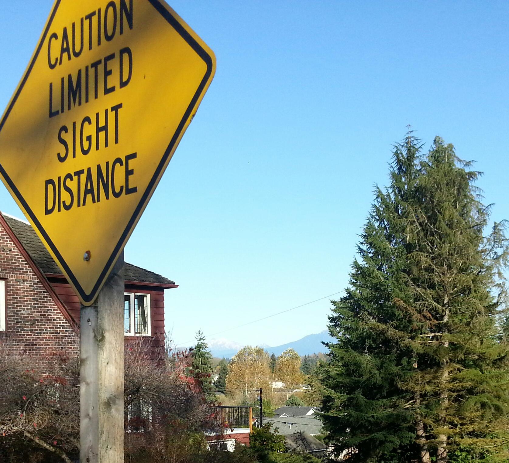 Terrible View | Scrolller