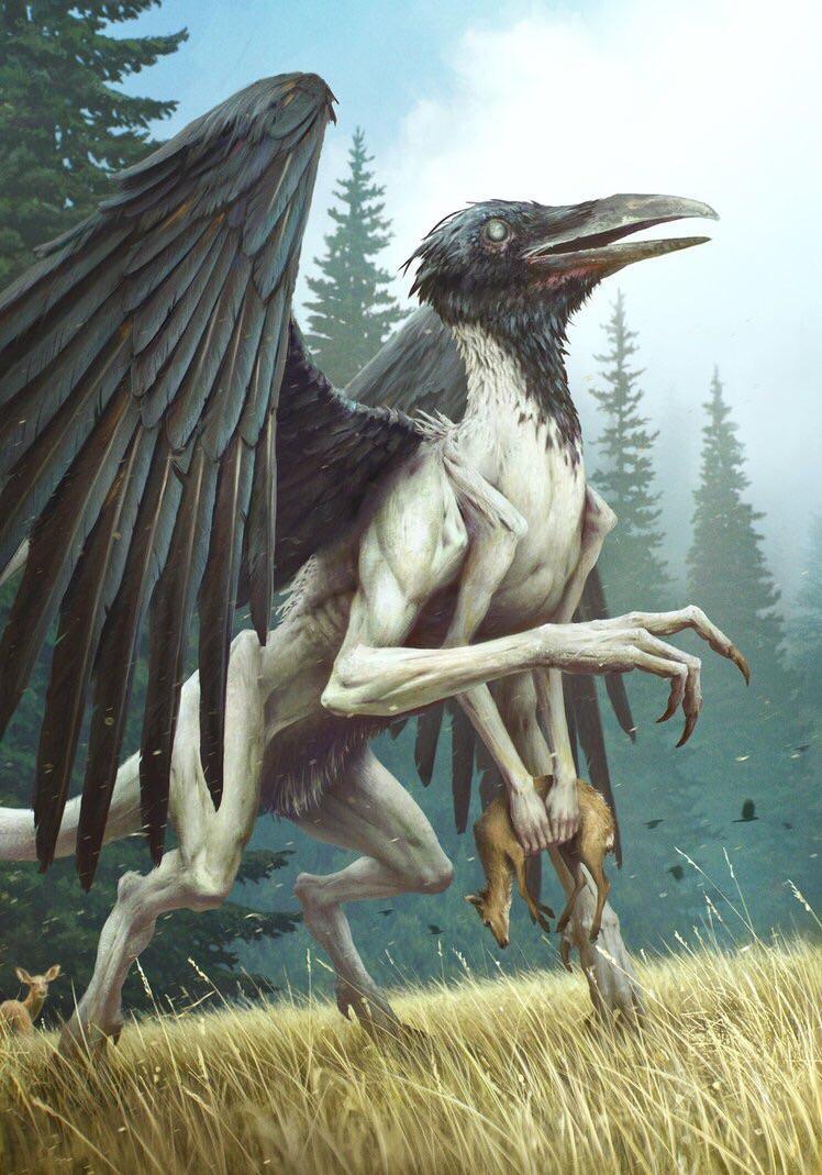 Terrifying Borb | Scrolller