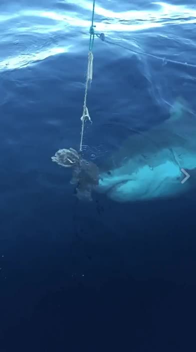 Terrifying but amazing | Scrolller