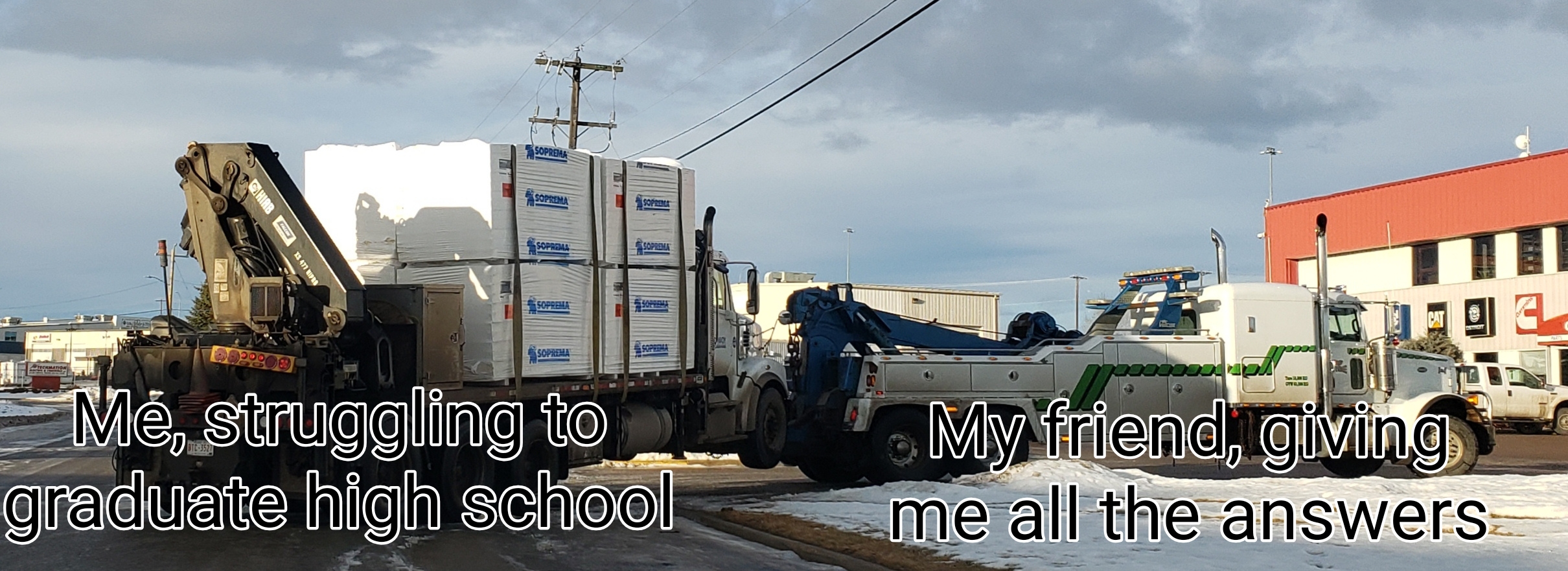 Thank you buddy | Scrolller