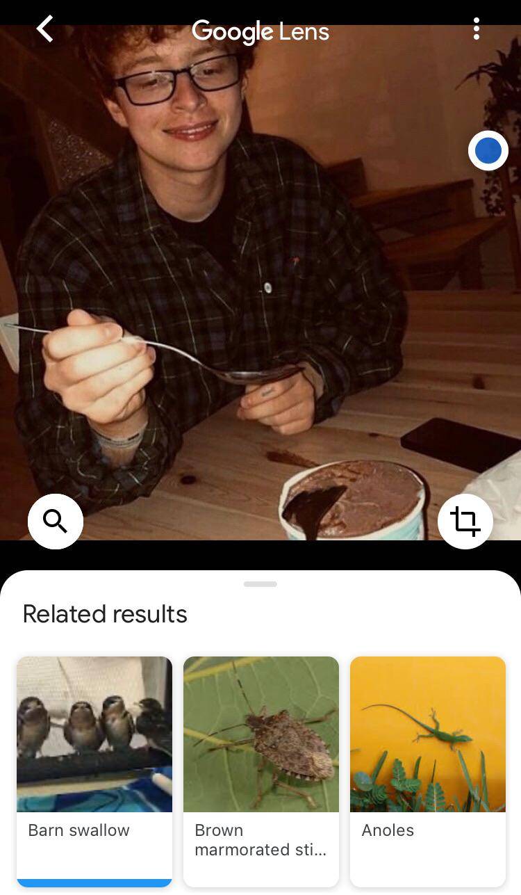 thank you google lens, very cool! | Scrolller
