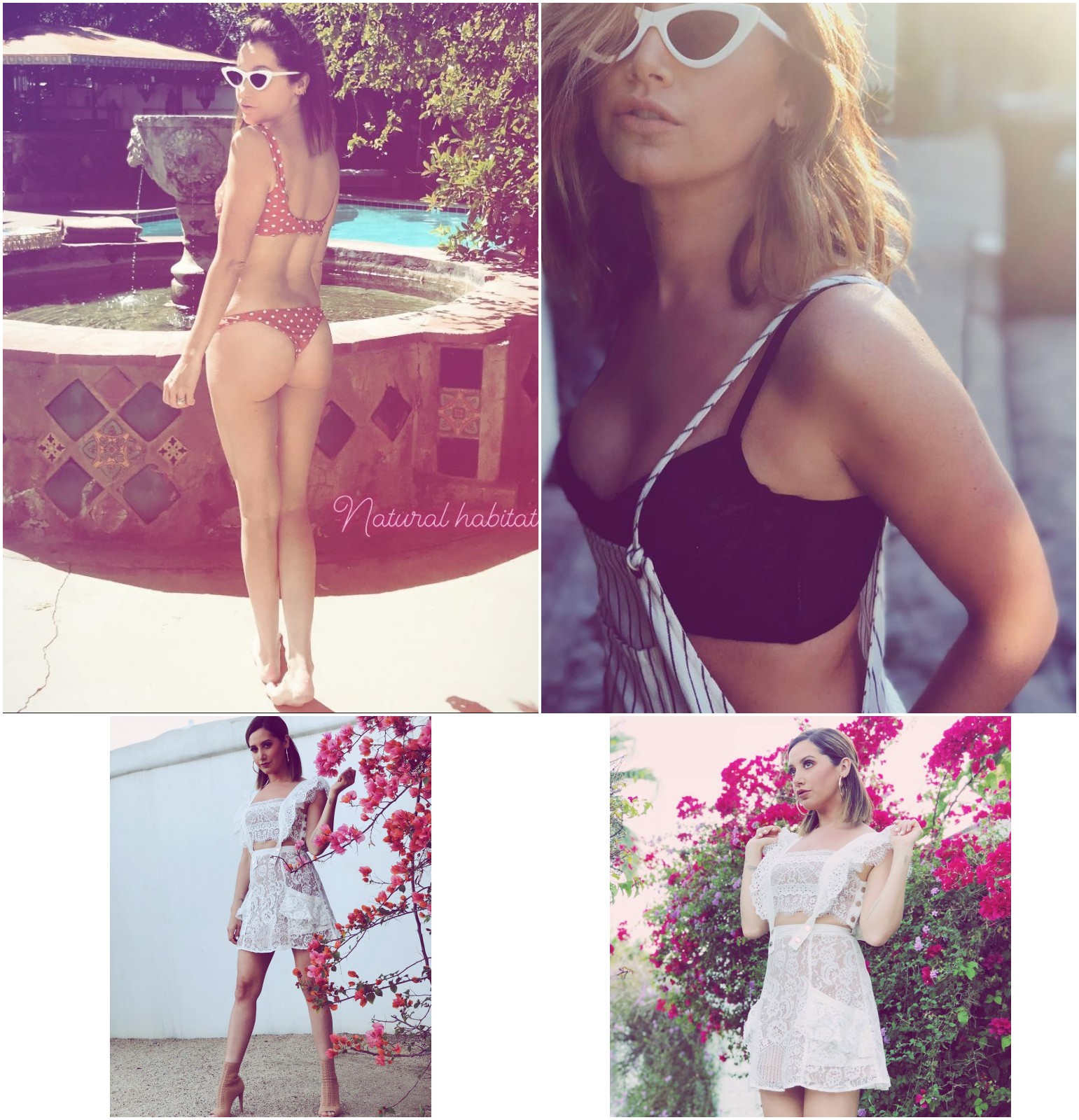 Thanks, Ashley Tisdale For The Orgasm | Scrolller