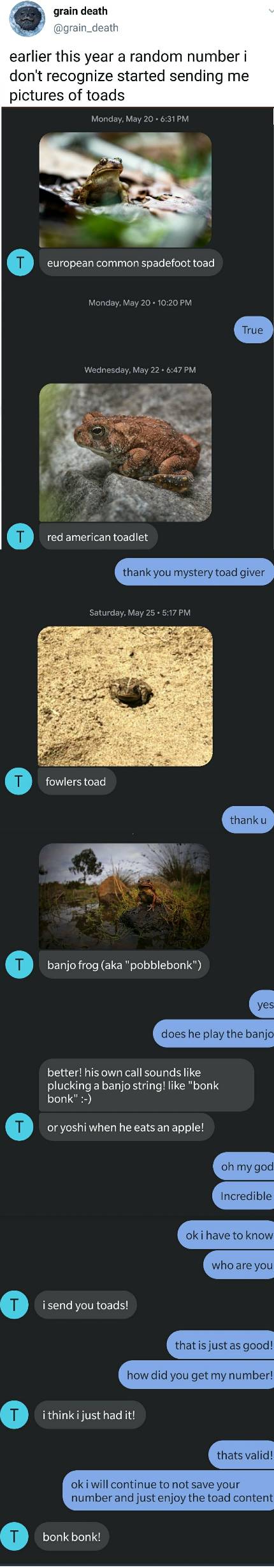 Thanks, I love toads | Scrolller