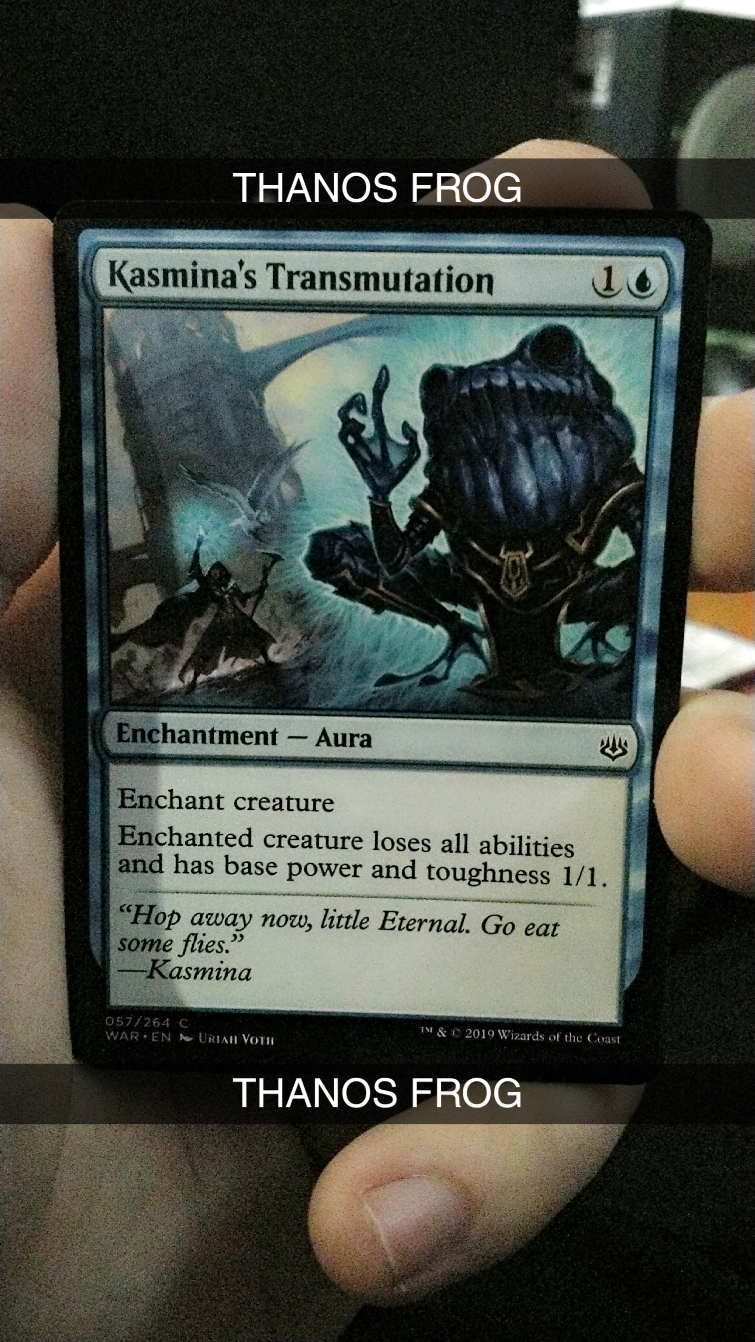 Thanos Frog | Scrolller