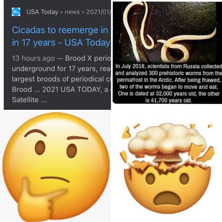 That all you got Cicadas? | Scrolller