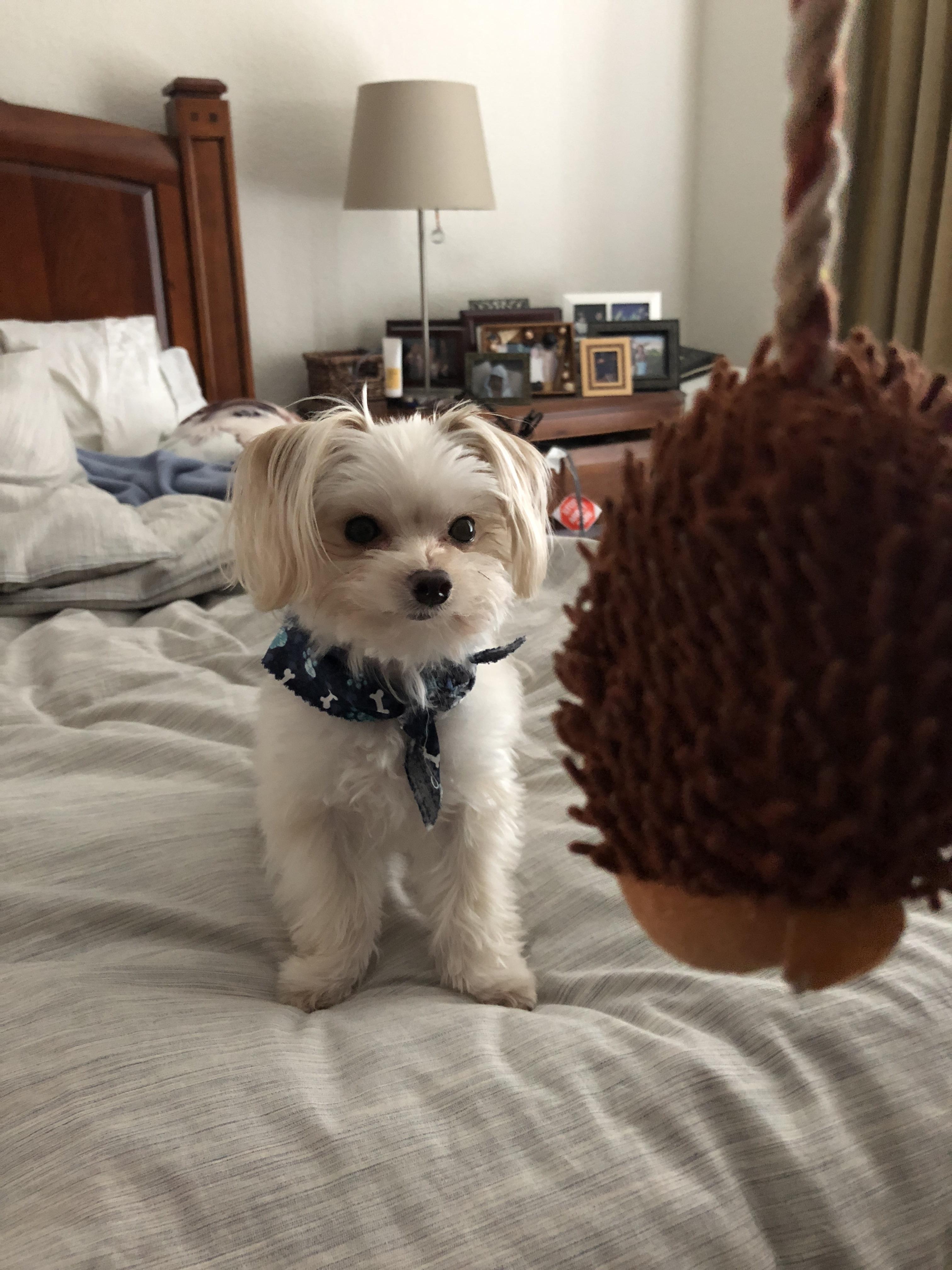 That concentration though | Scrolller