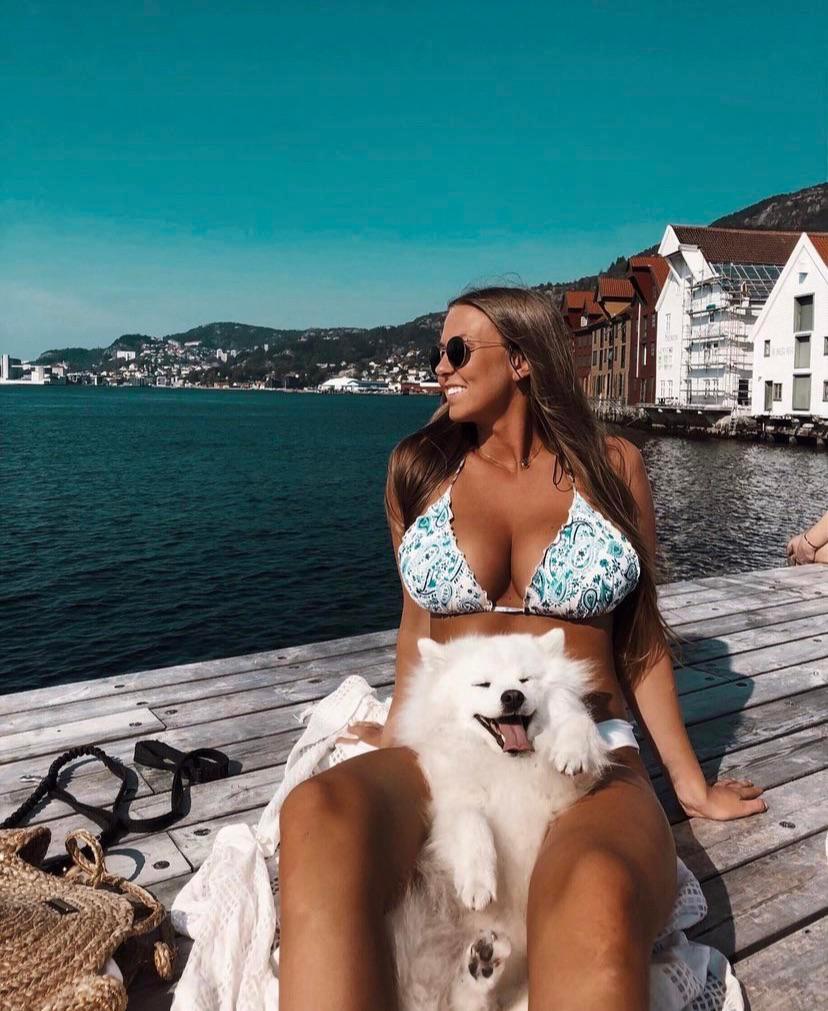 That is one happy dog | Scrolller