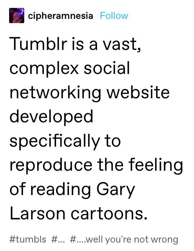 That’s pretty accurate actually | Scrolller