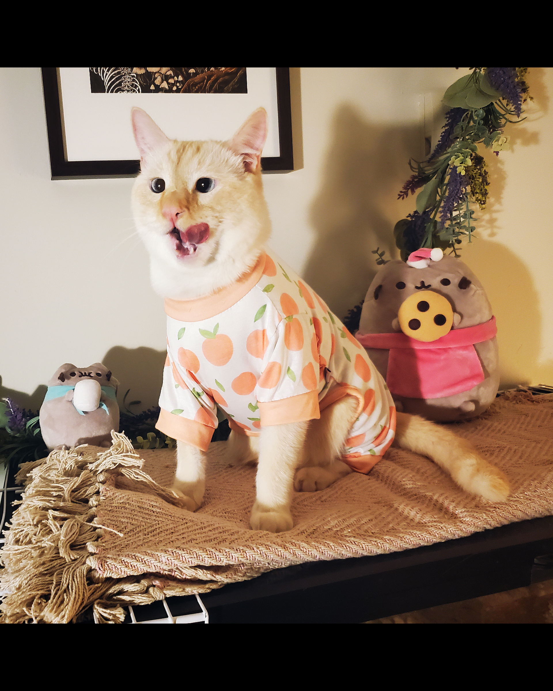 That's a big mlem Mr. beans | Scrolller