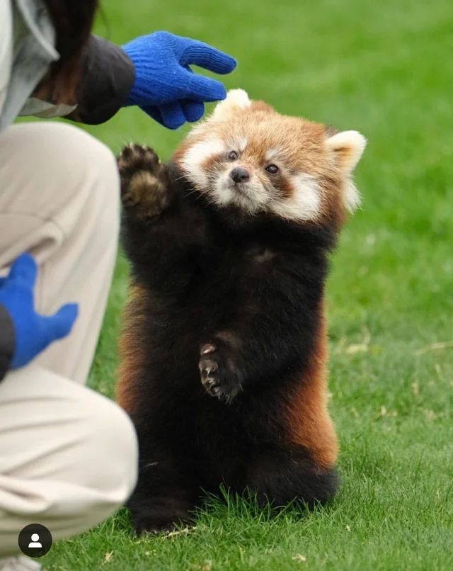 That's a weird-looking monkey | Scrolller