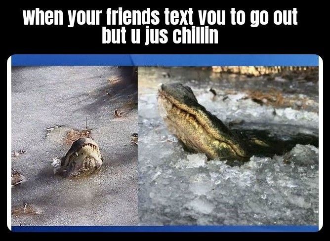 That's cold-blooded yo | Scrolller