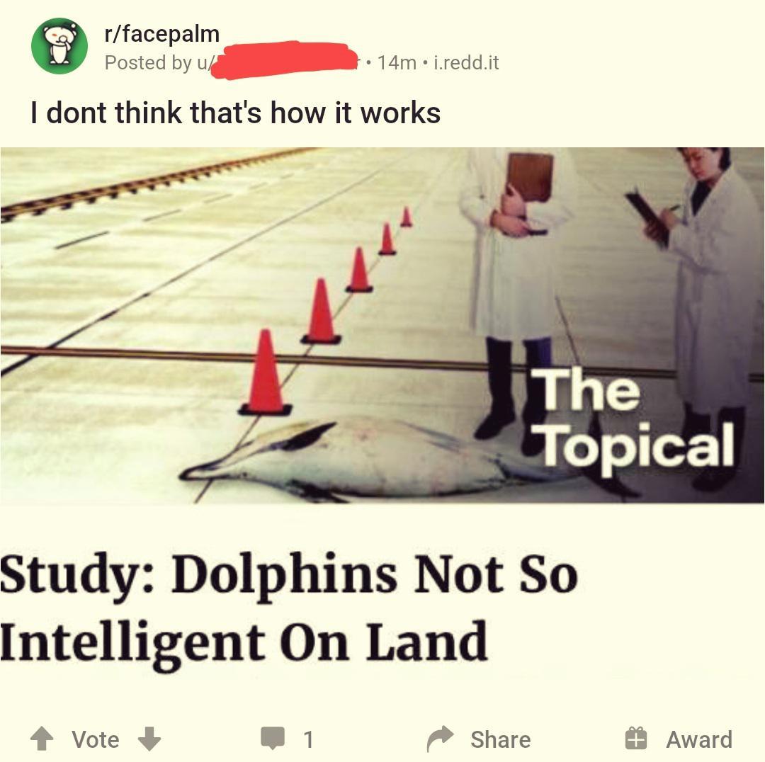 That's how The Topical works | Scrolller