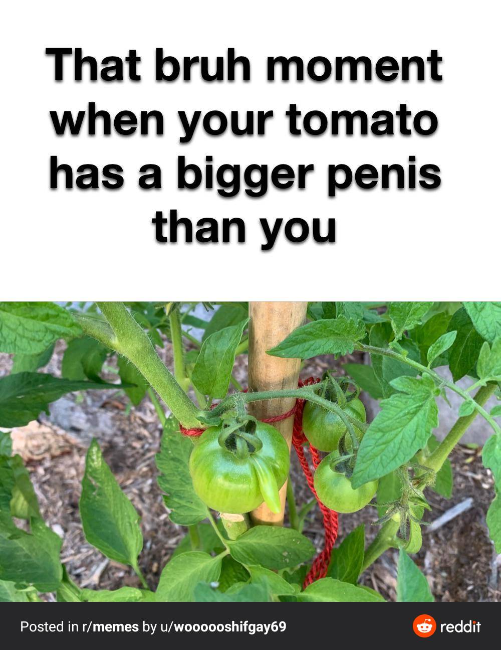 That's some big ball energy | Scrolller