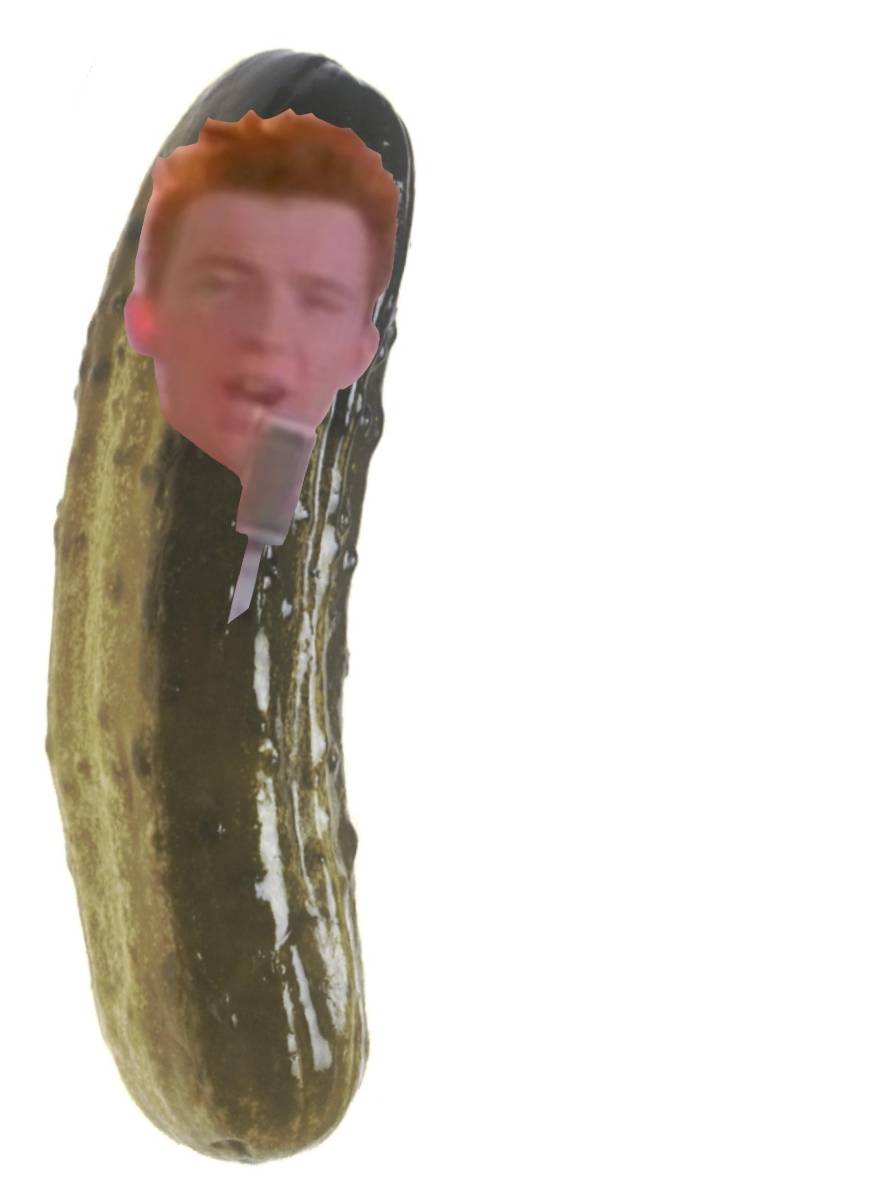 That's the funniest shit I've ever seen | Scrolller