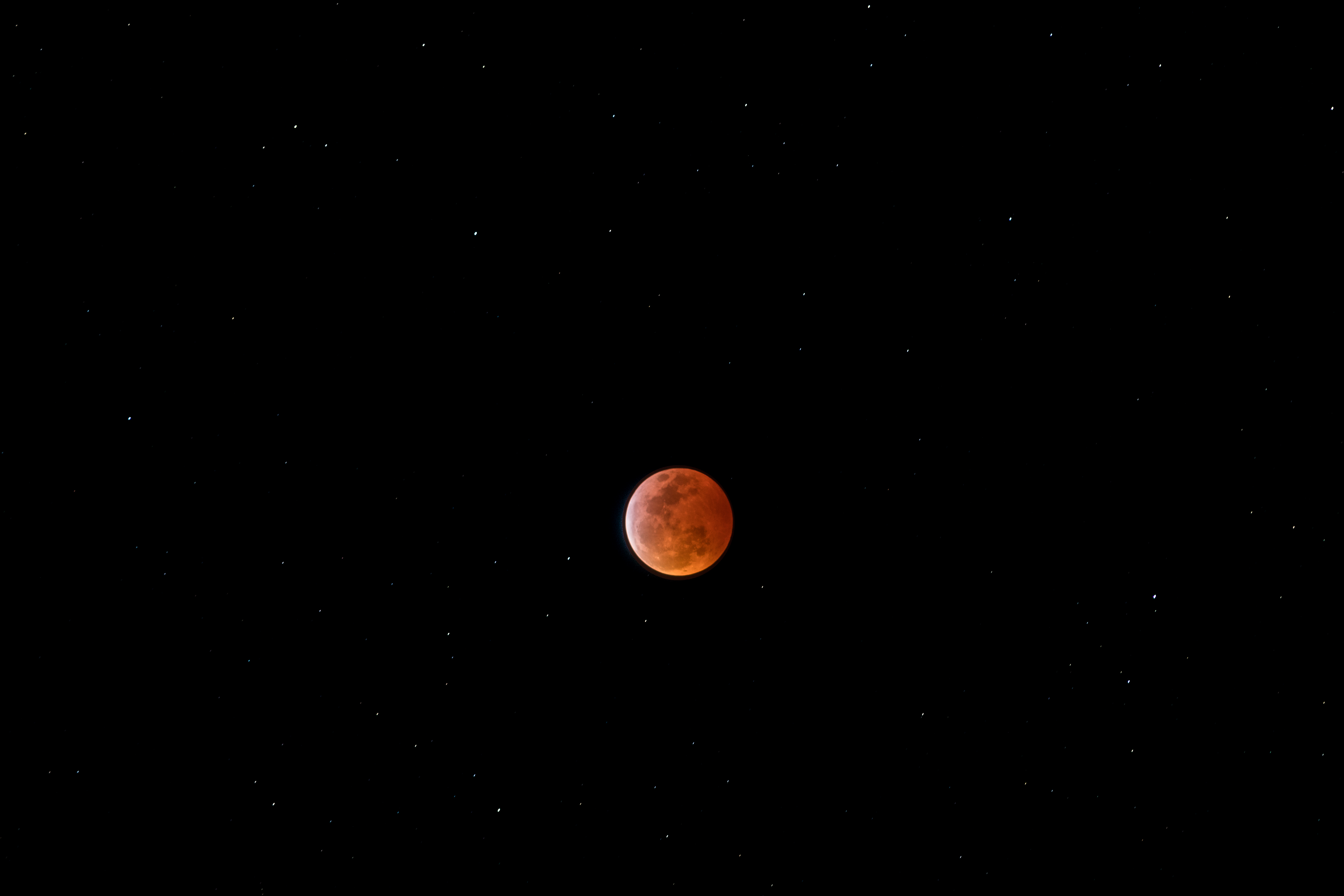 The 2019 Lunar Eclipse, it may be orange but it's beautiful | Scrolller