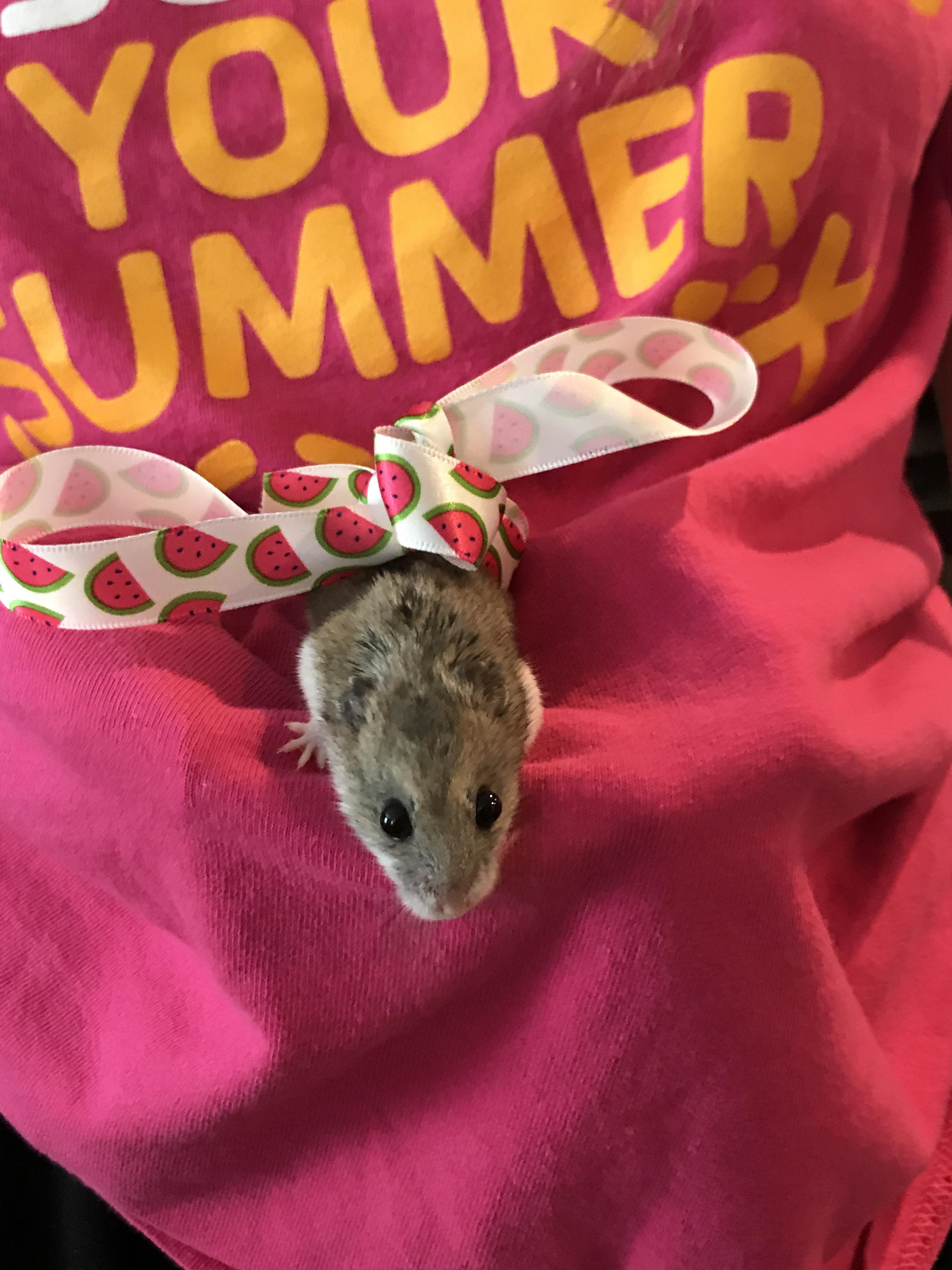 The All New Peanut Clothing Line! | Scrolller