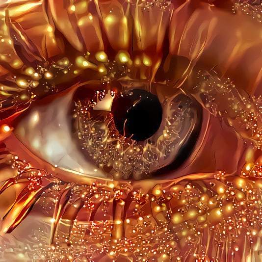 The all seeing eye | Scrolller