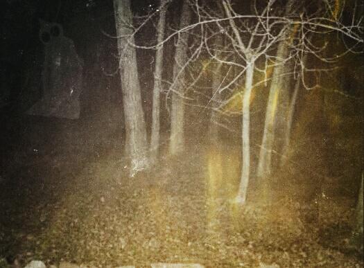 "The almost unknown second encounter" | Scrolller