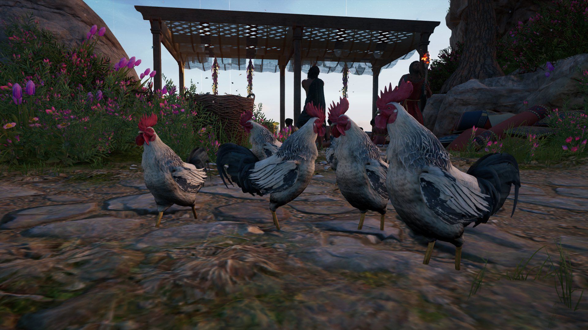 The Annual Rooster Convention was a success this year | Scrolller