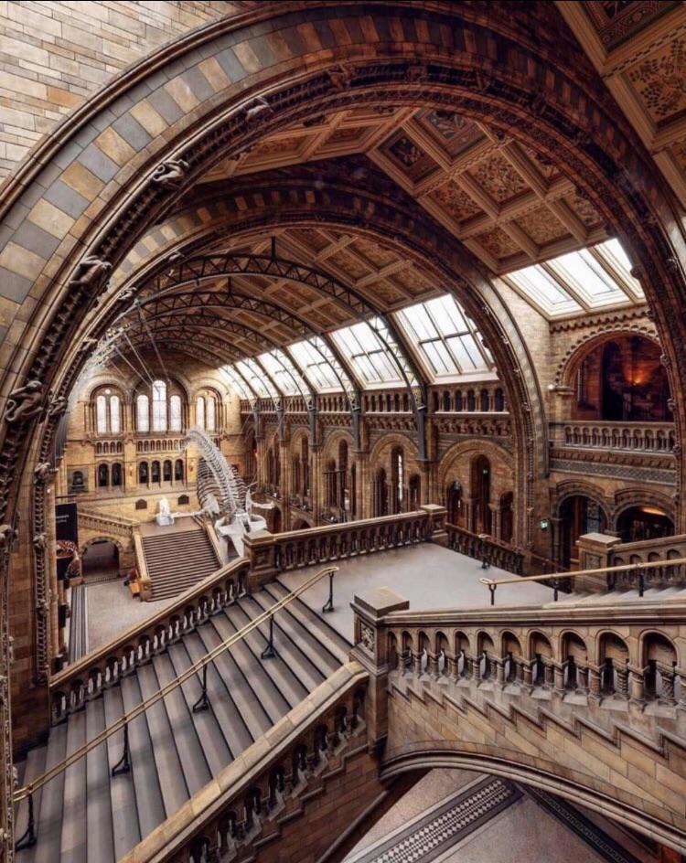 The Architecture in the London National History Museum | Scrolller