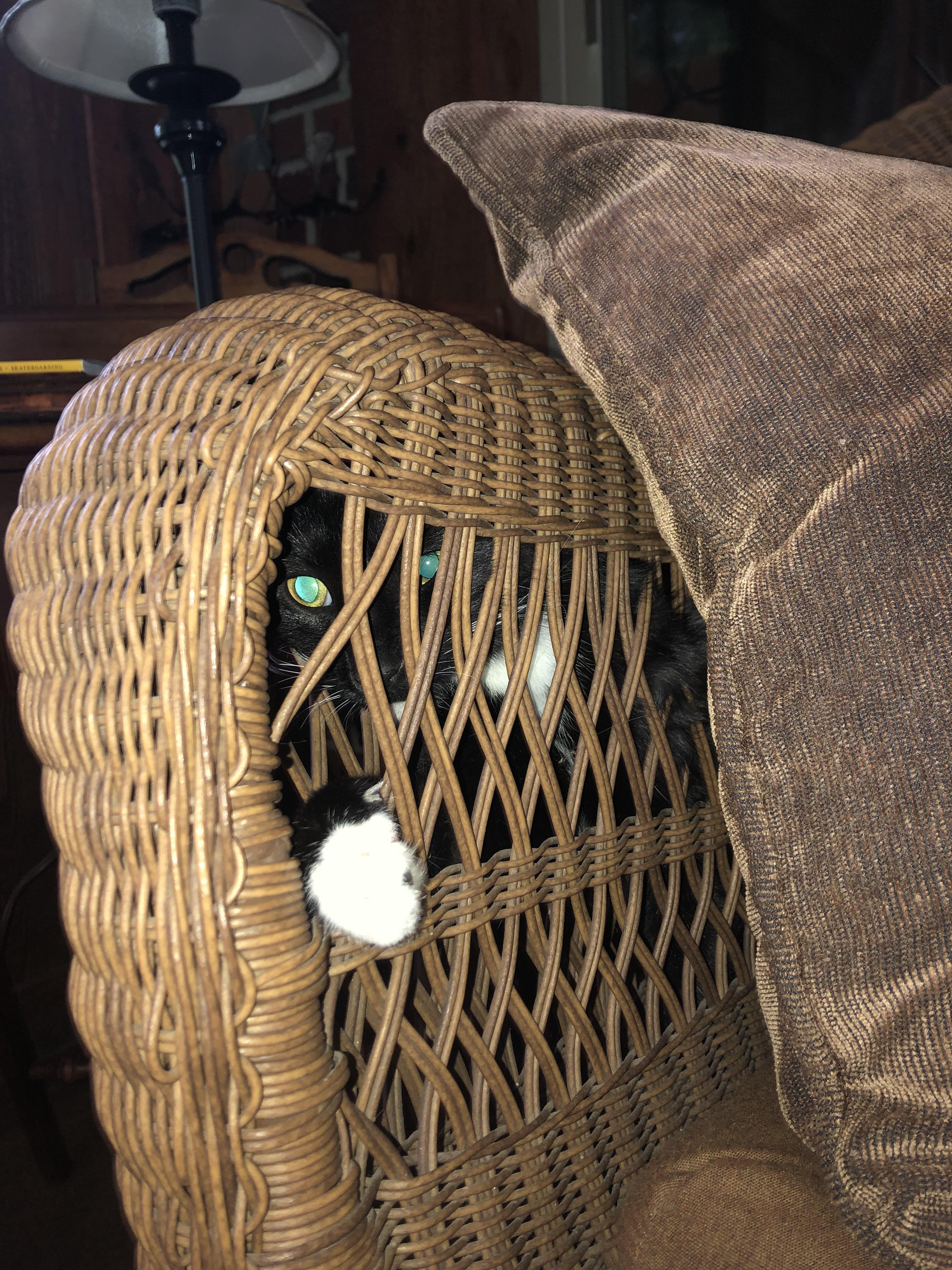 The arm of a wicker gliding chair | Scrolller