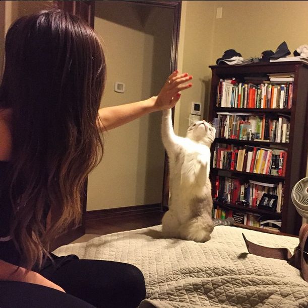 The "aww yah" high five | Scrolller