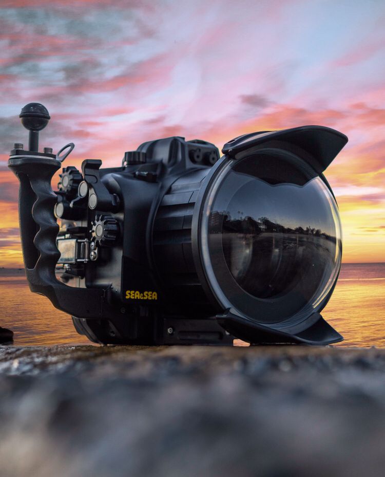 The beast - My new workhorse (Sony A7iii) | Scrolller