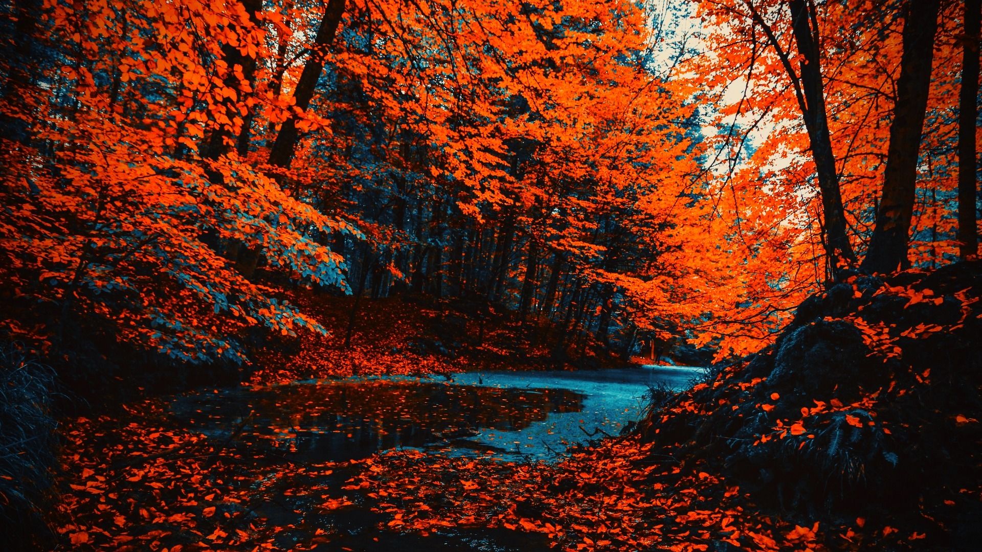 The Beautiful Nature [1920x1080] | Scrolller