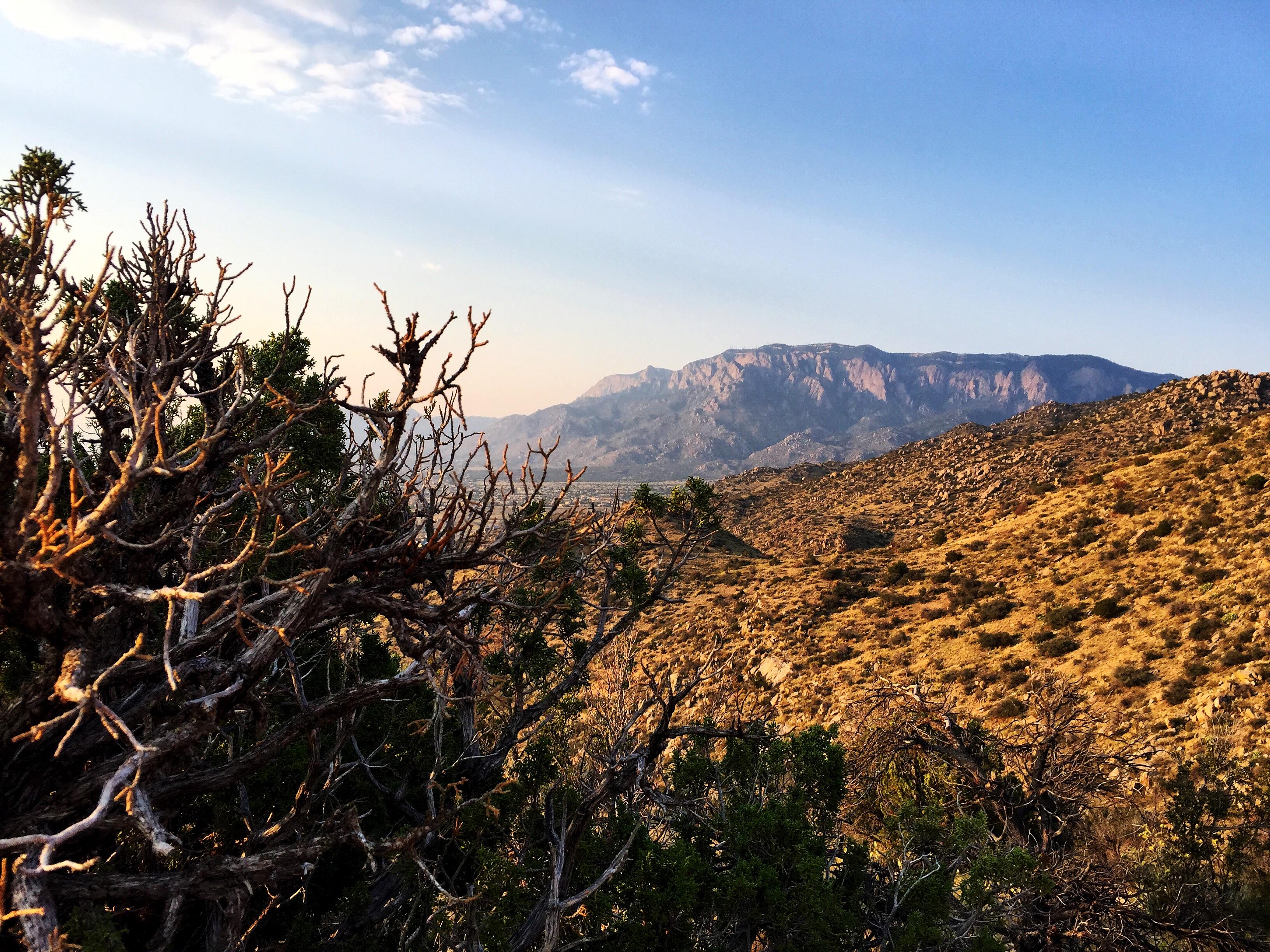 The beautiful Sandia Mountains. | Scrolller