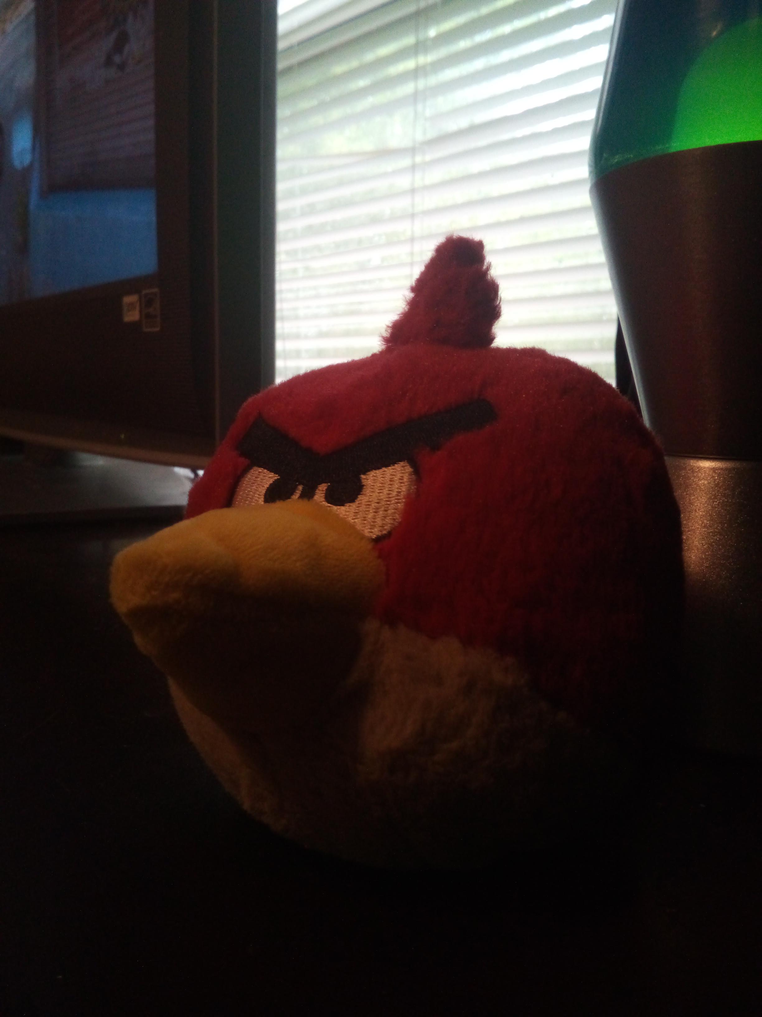 The best angry bird | Scrolller