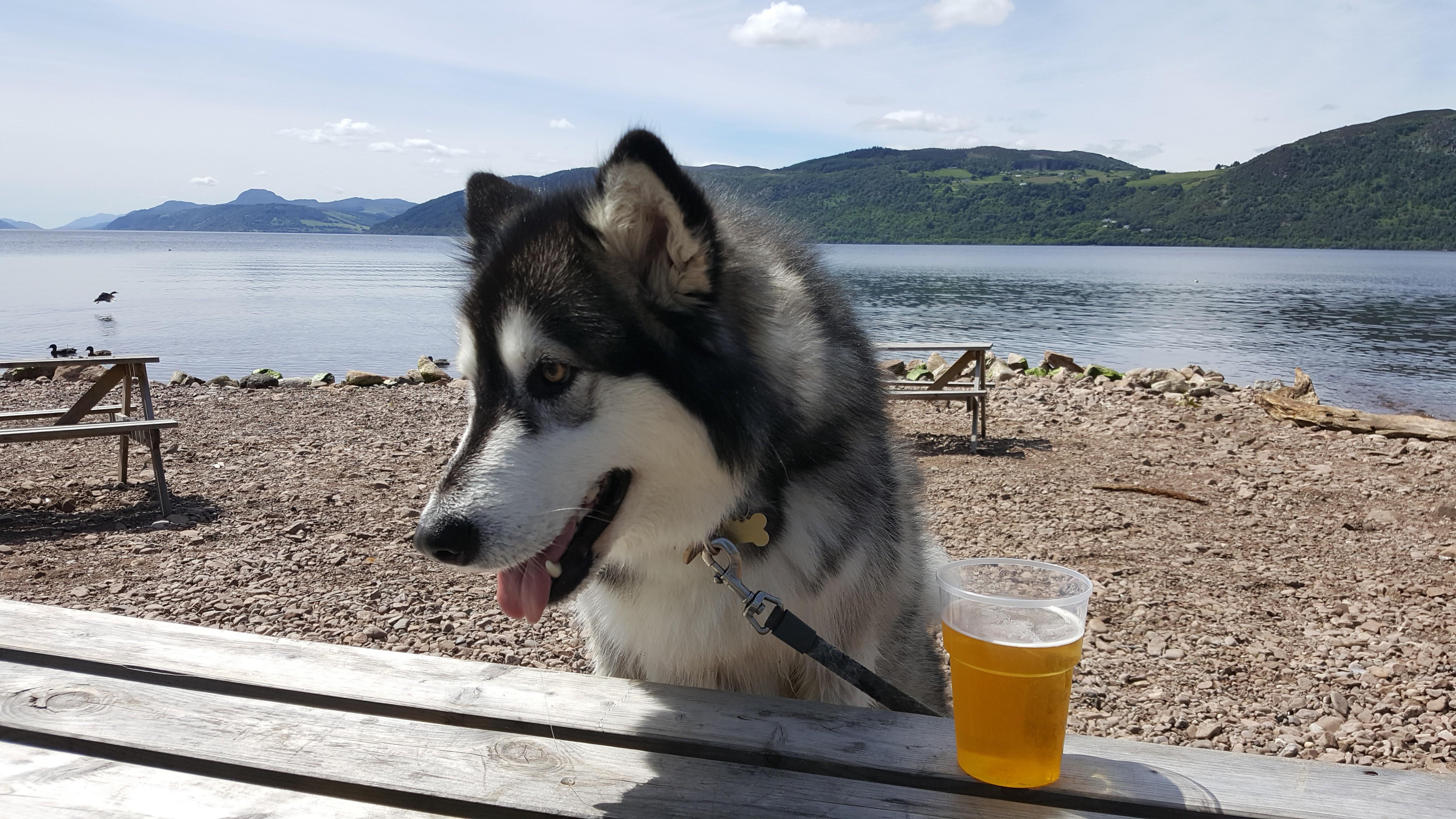 The best drinking buddy | Scrolller