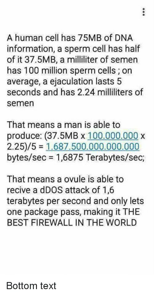 THE BEST FIREWALL IN THE WORLD | Scrolller