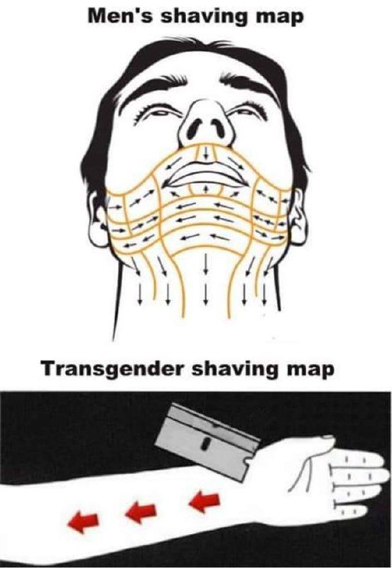 The Best way to Shave | Scrolller