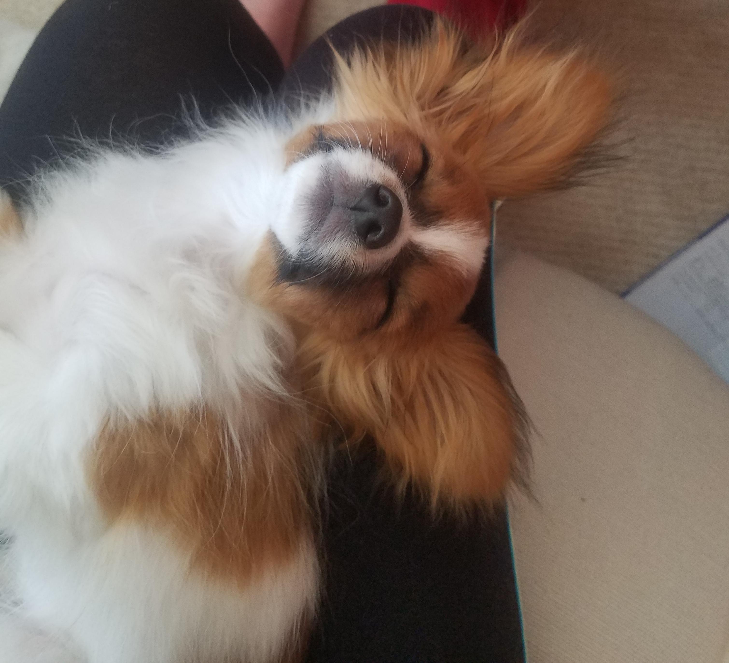 The bliss of sleeping in | Scrolller