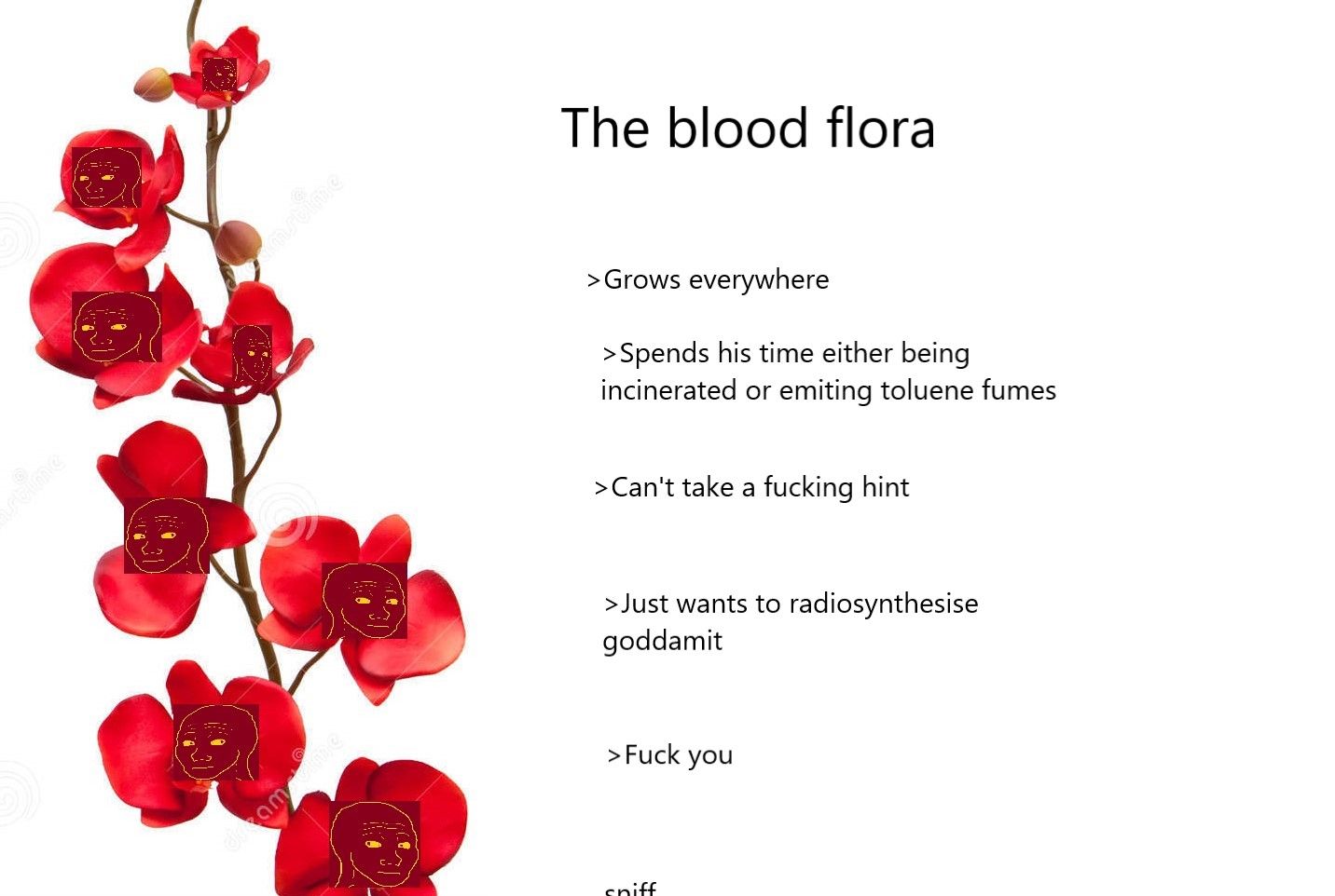 The blood flora | Scrolller