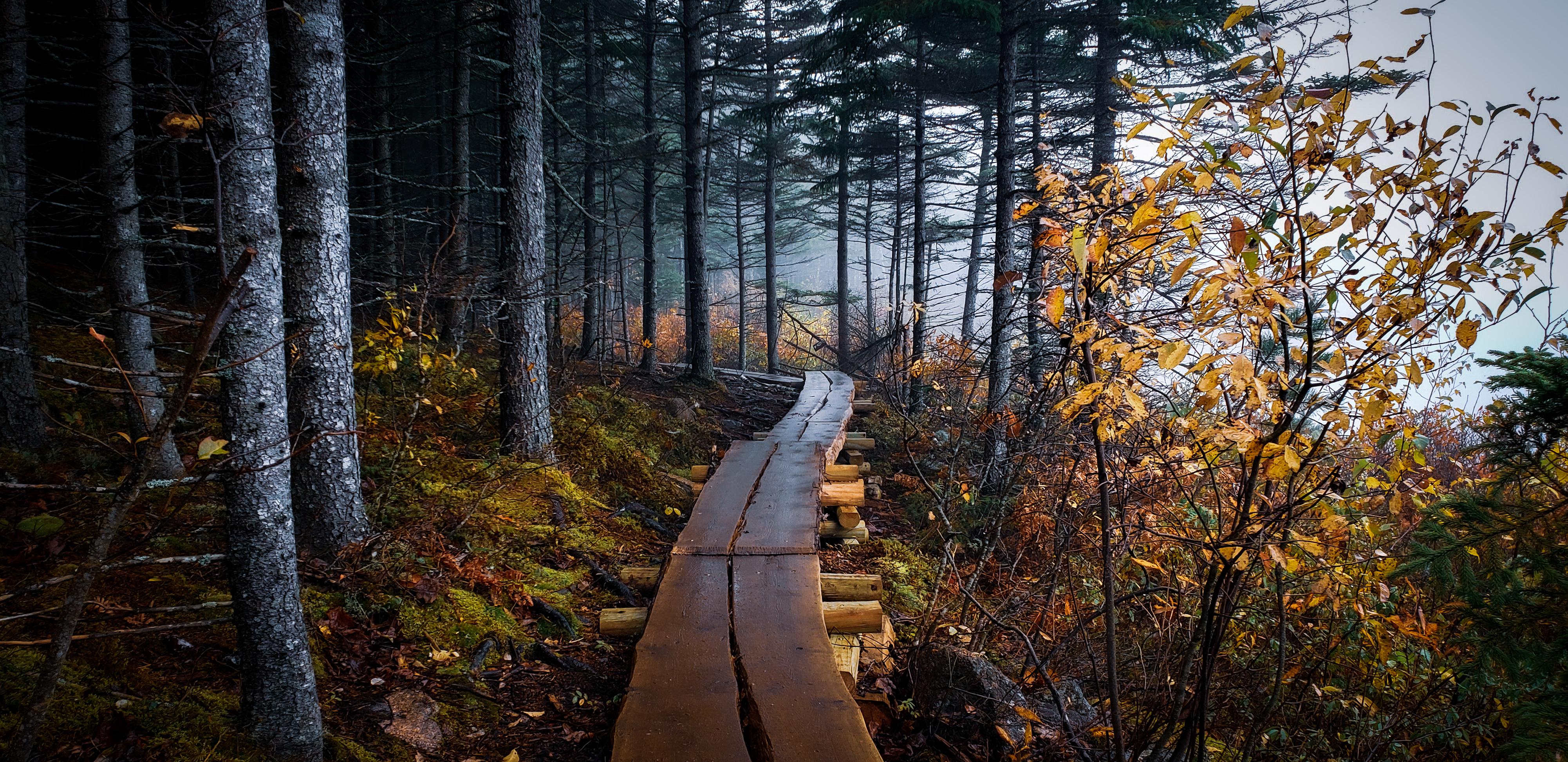 The Bowl, Acadia National Park. | Scrolller